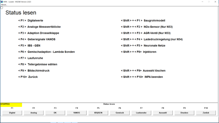 BMW N43 N53 N52 INPA loader 2.023 diagnostics MSV70 MSV80 MSD80