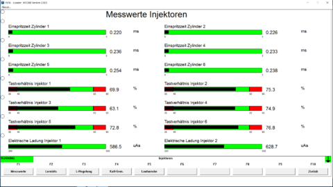 BMW N43 N53 N52 INPA loader 2.023 diagnostics MSV70 MSV80 MSD80