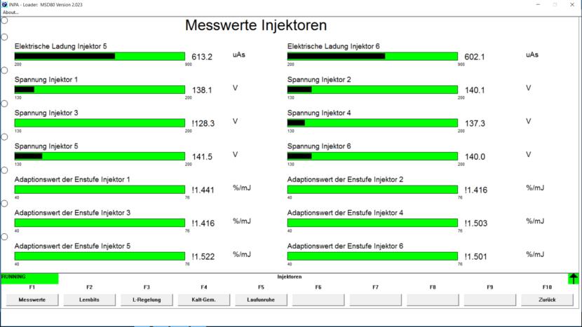BMW N43 N53 N52 INPA loader 2.023 diagnostics MSV70 MSV80 MSD80