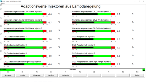 BMW N43 N53 N52 INPA loader 2.023 diagnostics MSV70 MSV80 MSD80